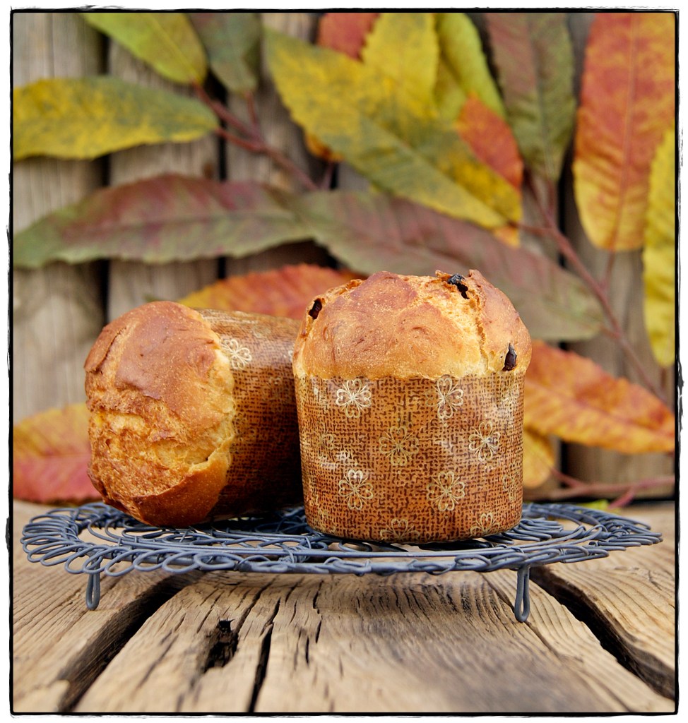 MINI PANETTONE CLÁSICO | Cosmopolitan Cuisine