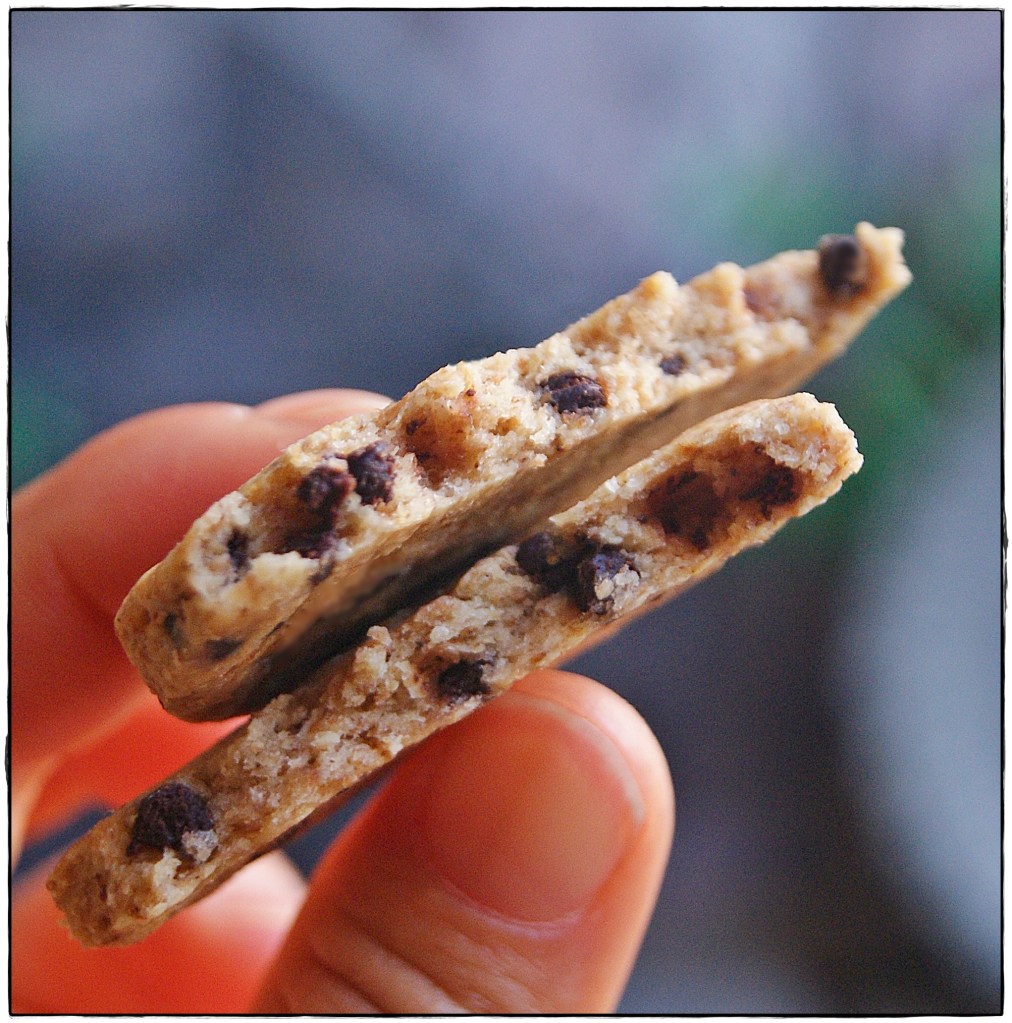 GALLETAS 100% INTEGRALES CON CHISPAS DE CHOCOLATE | Cosmopolitan Cuisine