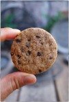 GALLETAS 100% INTEGRALES CON CHISPAS DE CHOCOLATE | Cosmopolitan Cuisine